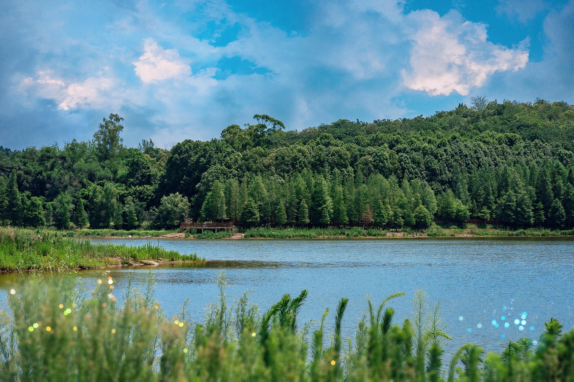 Donghu Scenic Area, East Lake – Nature and Wetlands in Wuhan